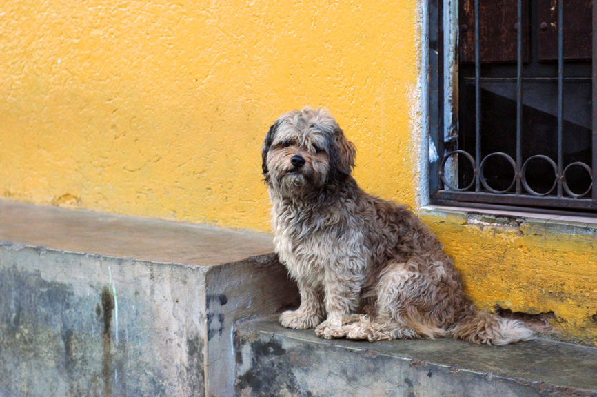 Michael Grimes Photography fun stuff 3 page